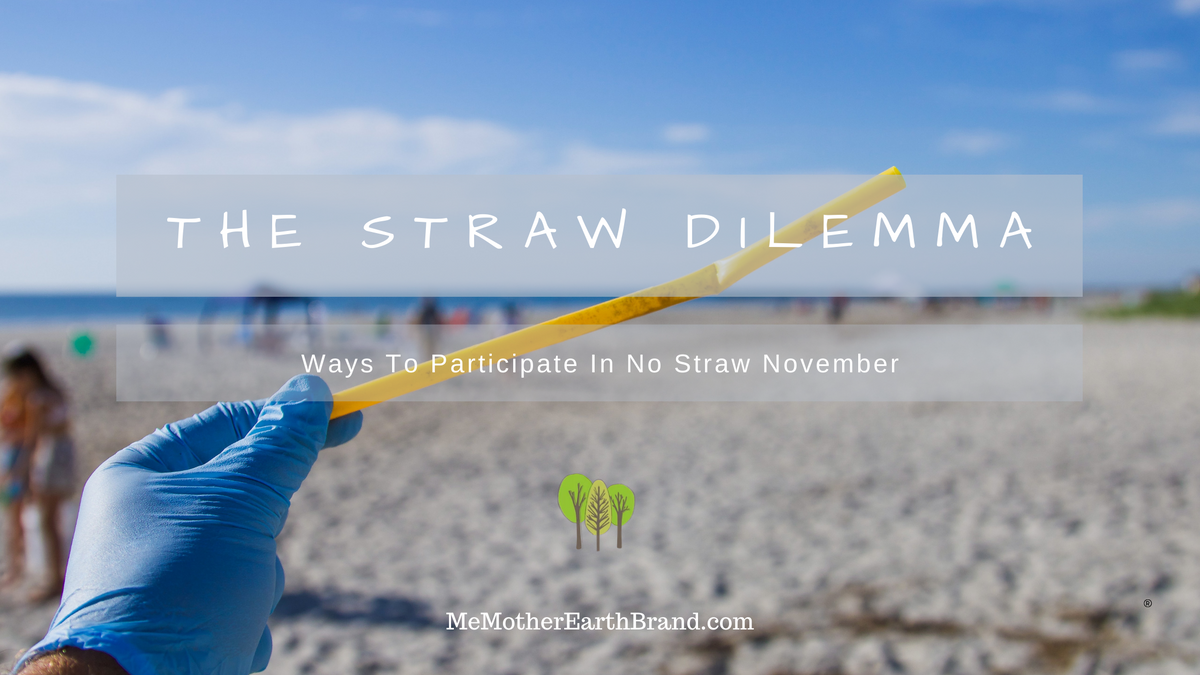 Ways to Participate in No Straw November – me.motherearth